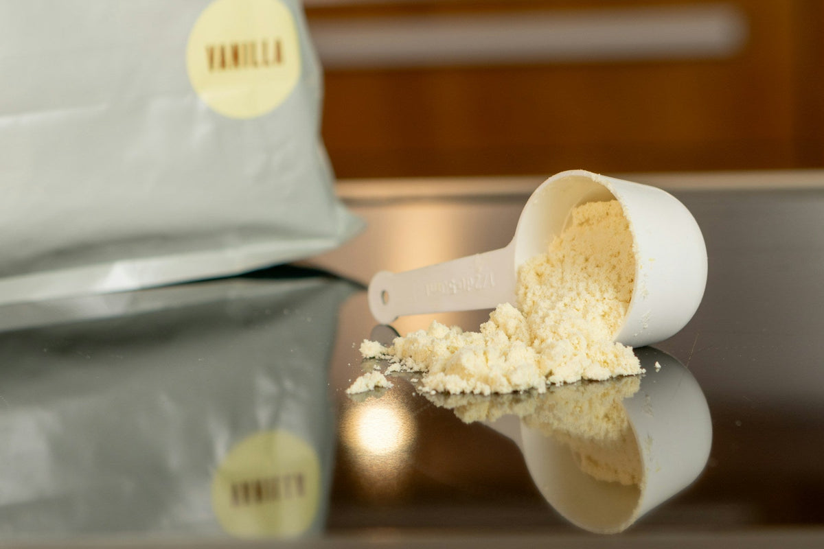 Guide to Whey Protein Types and Their Uses – Nutristore